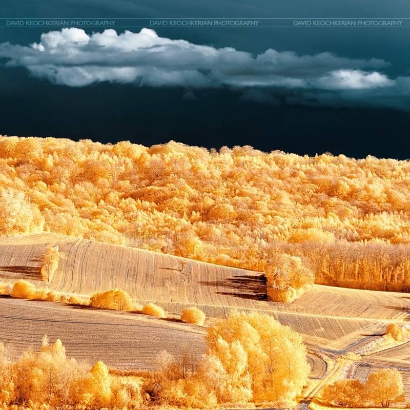 Infrared Landscapes | Moss and Fog