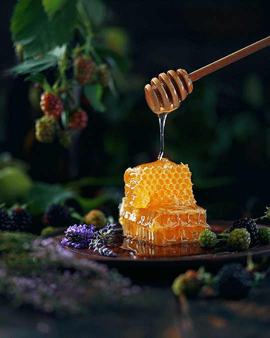 Stay Hungry With These Clever Food Cinemagraphs | Moss and Fog