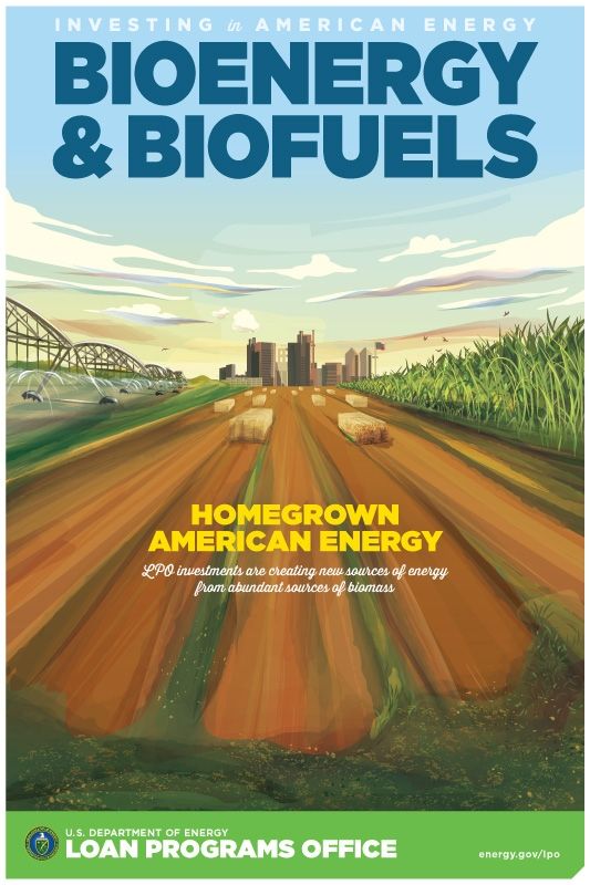 Department of Energy Posters » Moss and Fog