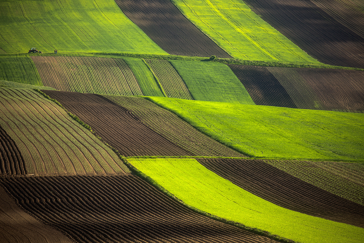 Wave Cinemagraph – Moss and Fog