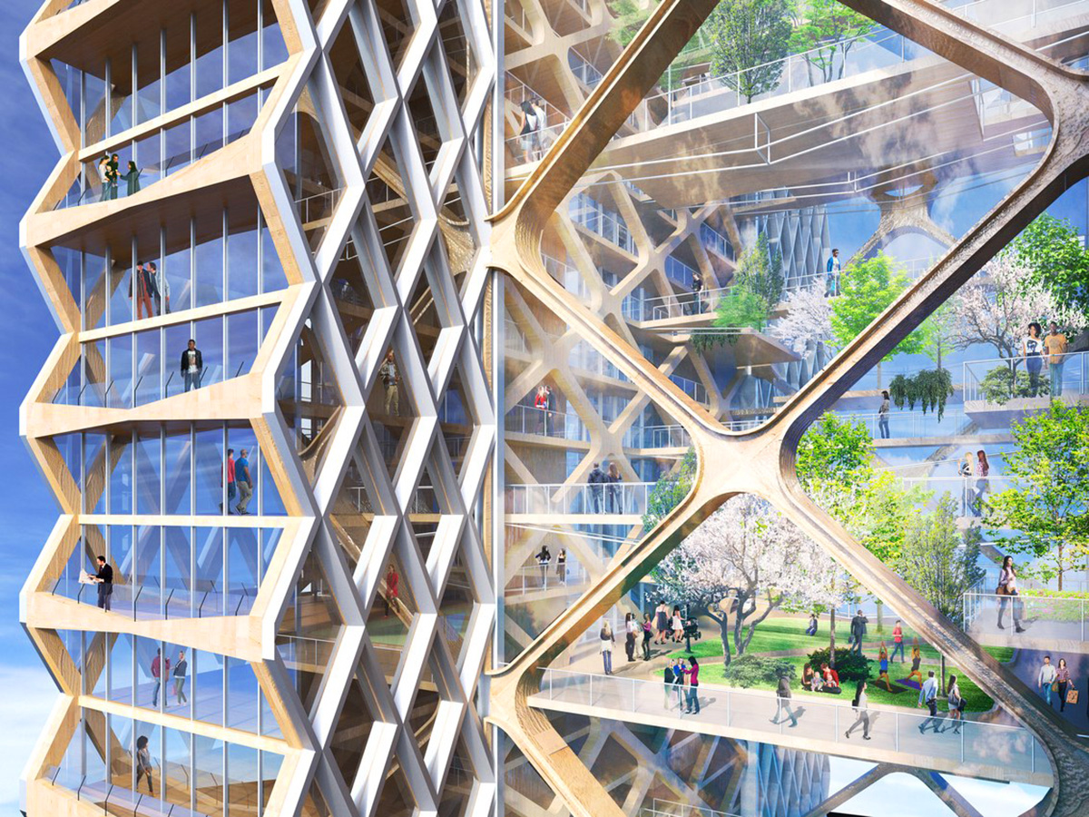 Wooden Skyscrapers On the Horizon – Moss and Fog