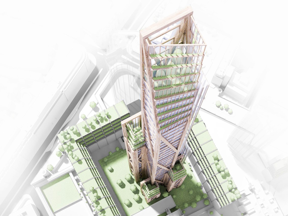 Wooden Skyscrapers On the Horizon – Moss and Fog