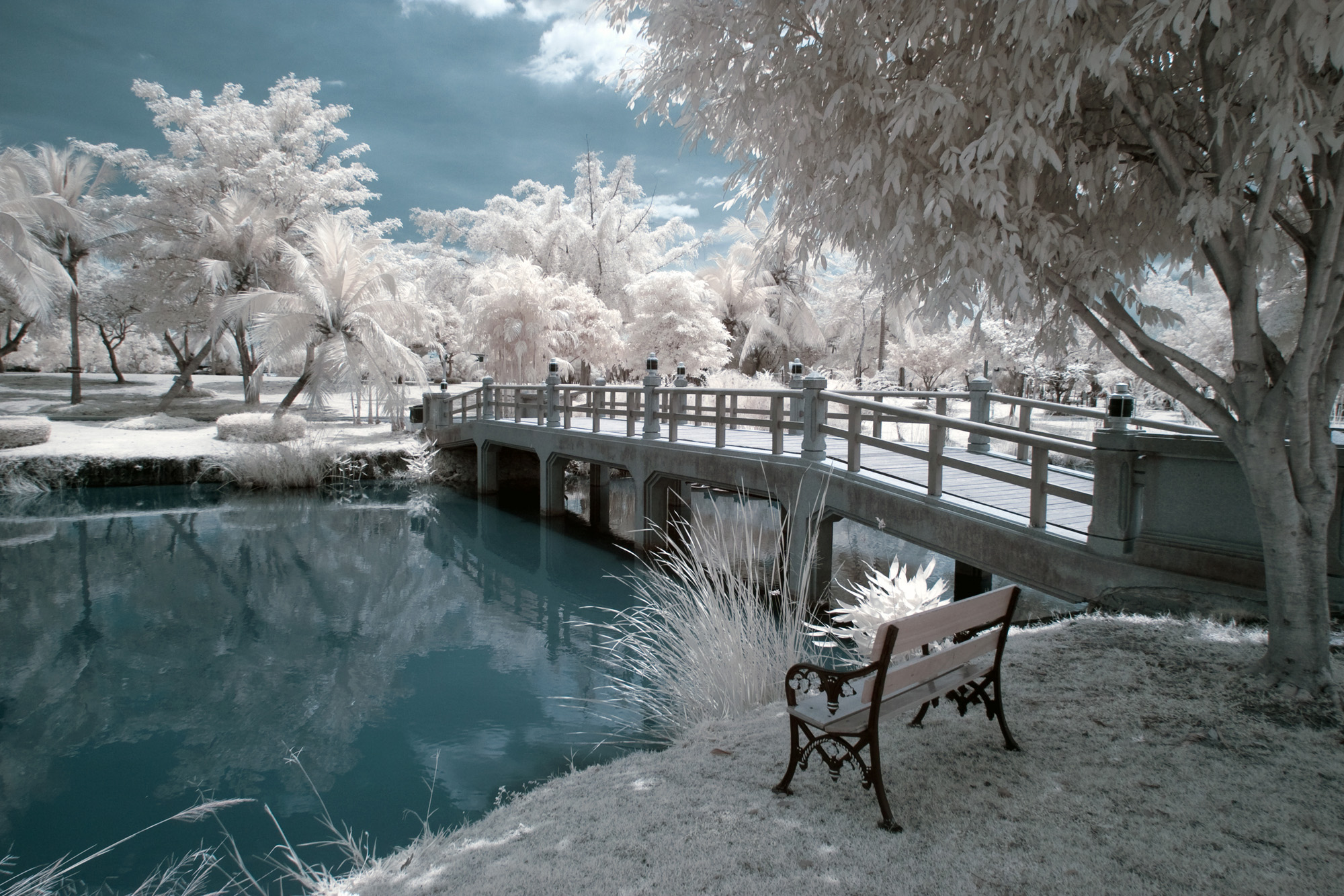 Infrared Illusion » Moss and Fog