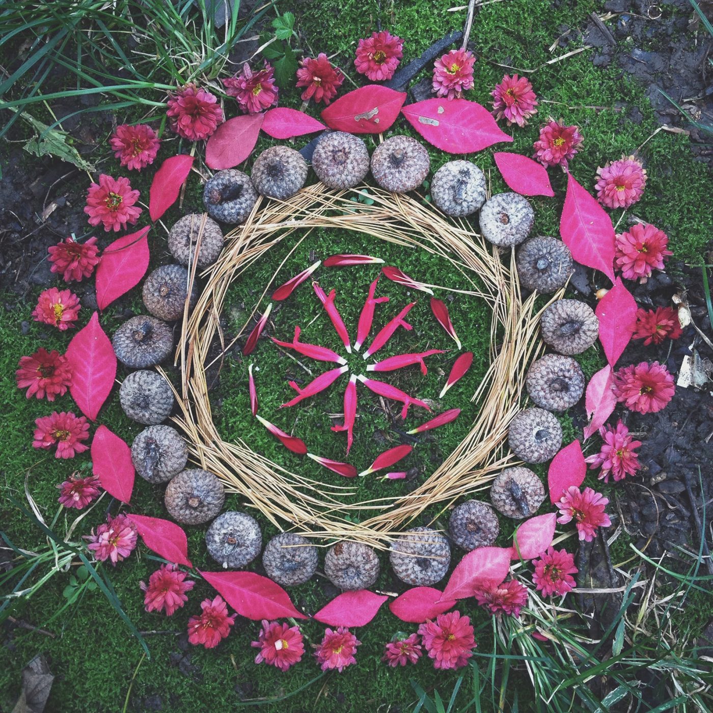 Intricate Nature Mandalas » Moss and Fog