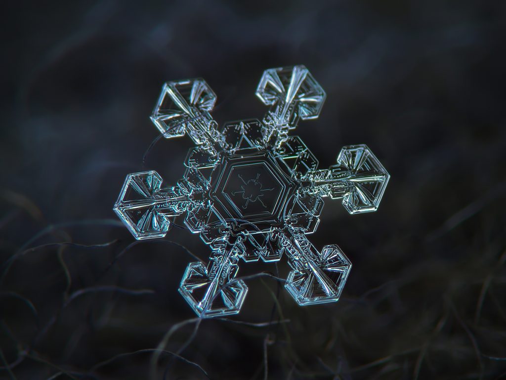 Gorgeous Snowflakes Show Exquisite Geometry and Limitless Variation ...
