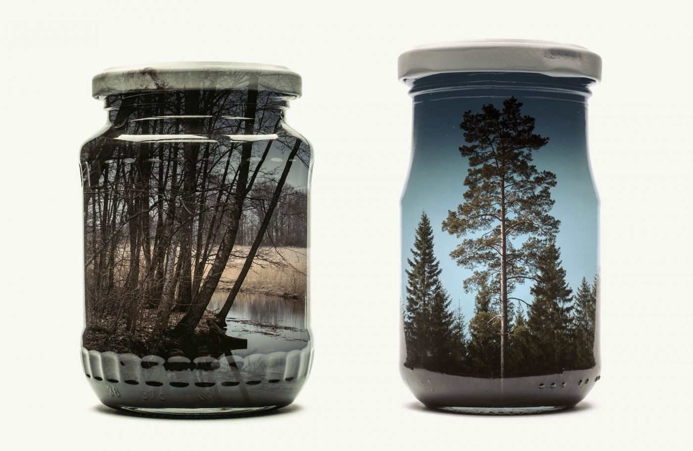 Captured Finnish Landscapes by Christoffer Relander | Moss and Fog