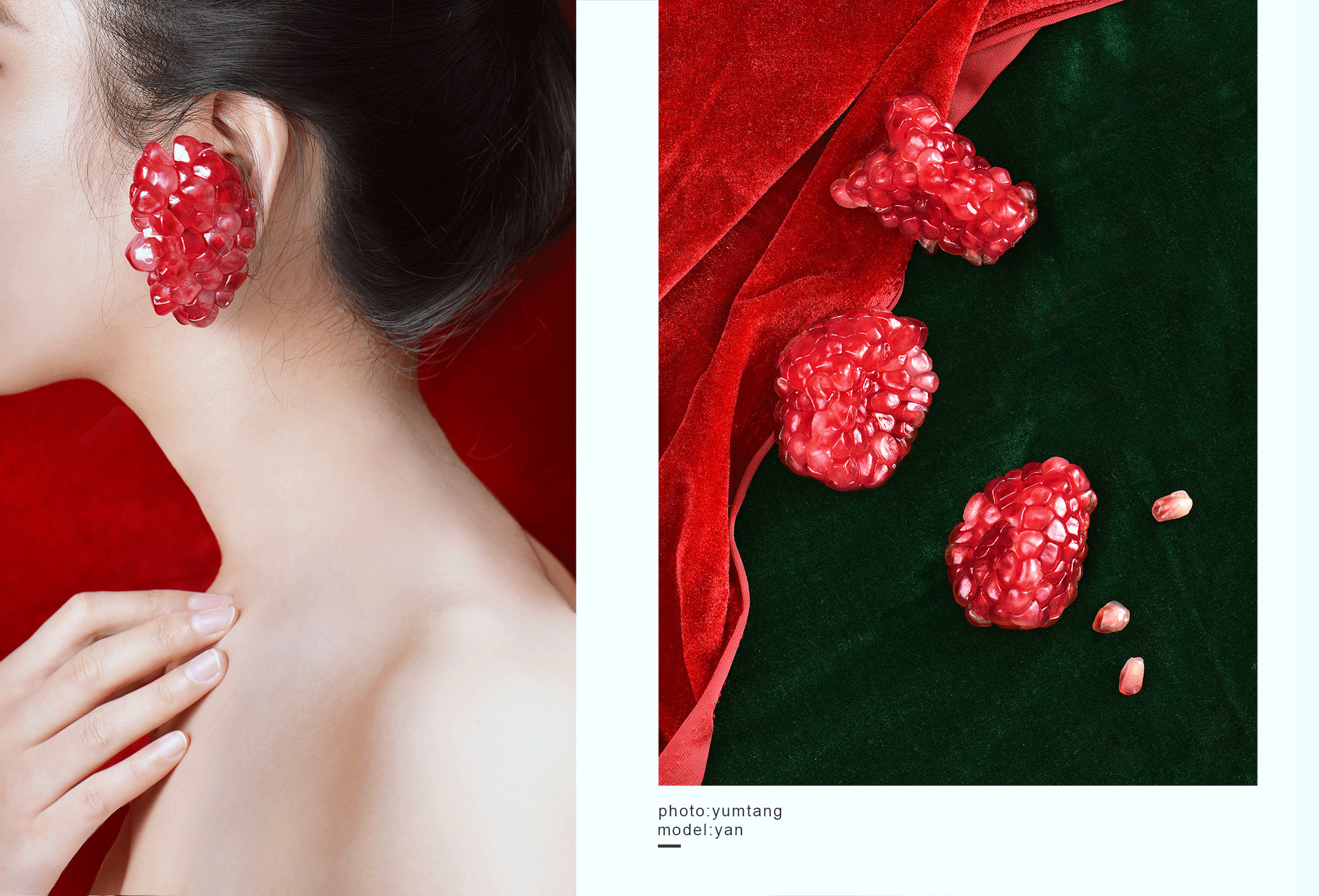 pomegranate-moss-and-fog-9 – Moss and Fog