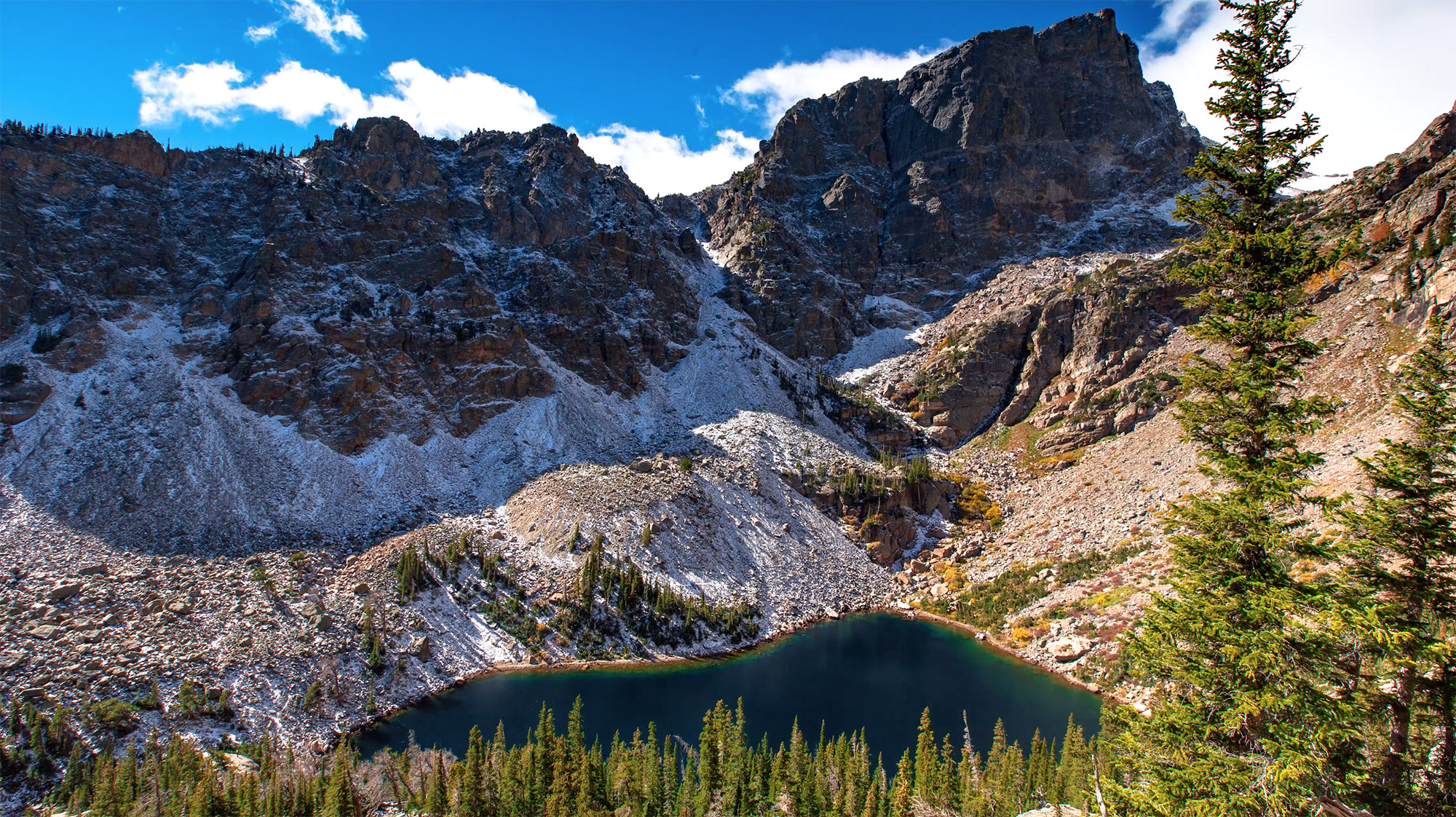 Rocky Mountain 8K | Moss and Fog