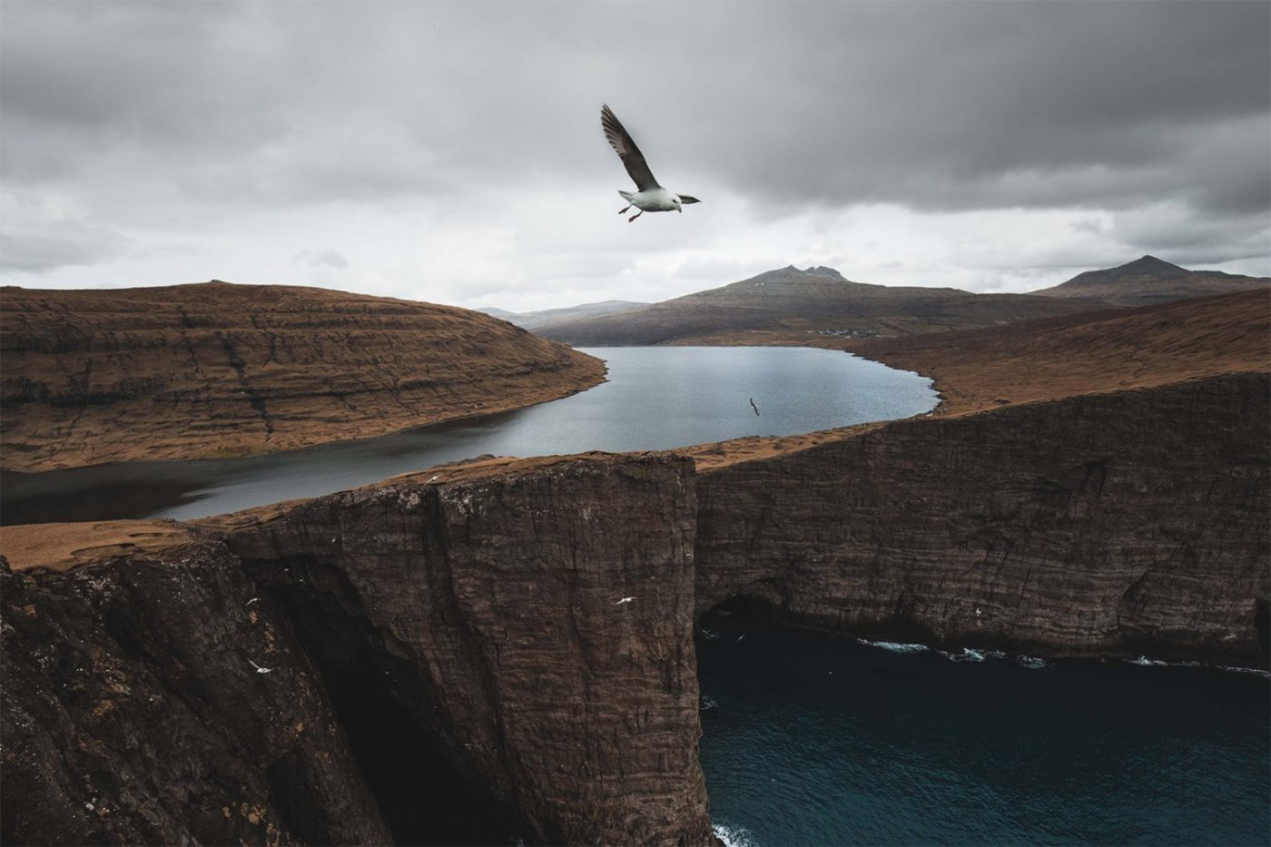 Benjamin Hardman's Vision of Iceland | Moss and Fog