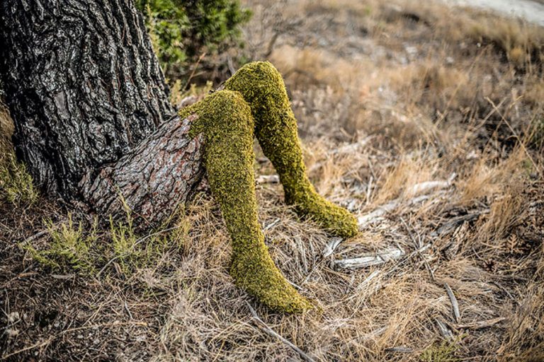 Human Nature, a Living Installation | Moss and Fog