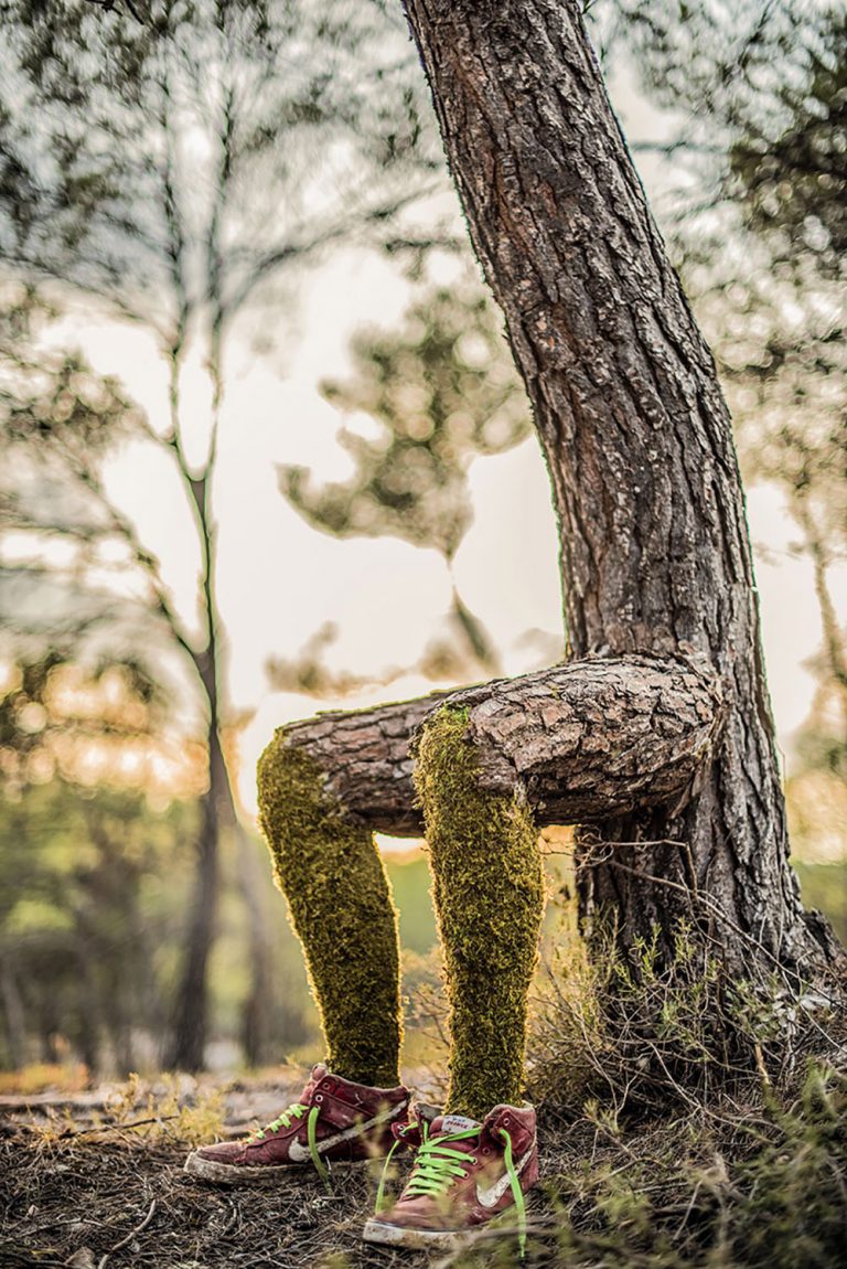 Human Nature, a Living Installation | Moss and Fog