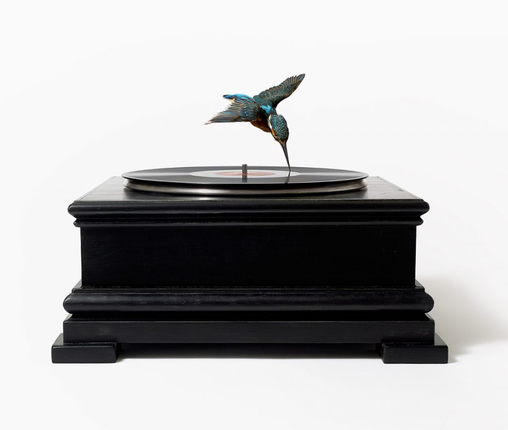 Surrealist Objects Bring Weird to the Everyday | Moss and Fog