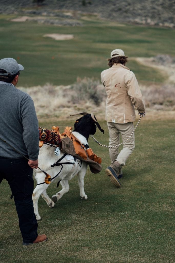 The Goat Caddies of Eastern Oregon | Moss and Fog