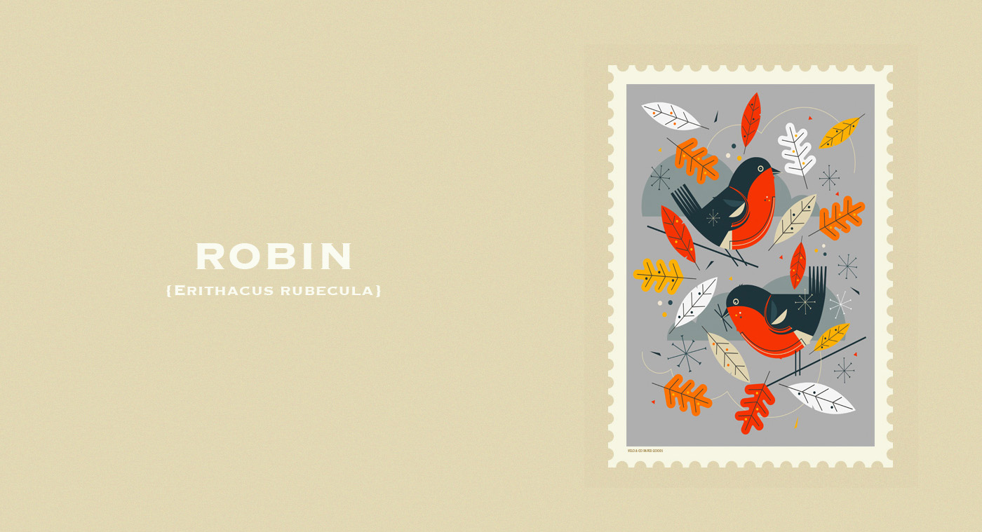 robin1 – Moss and Fog