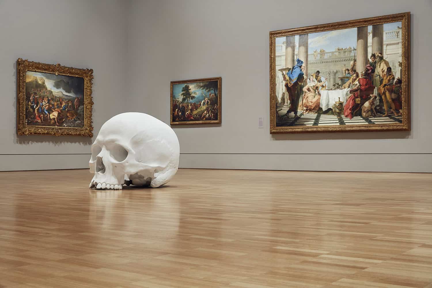 A Gallery Full of Enormous Skulls Makes Quite the Impression - Moss and Fog