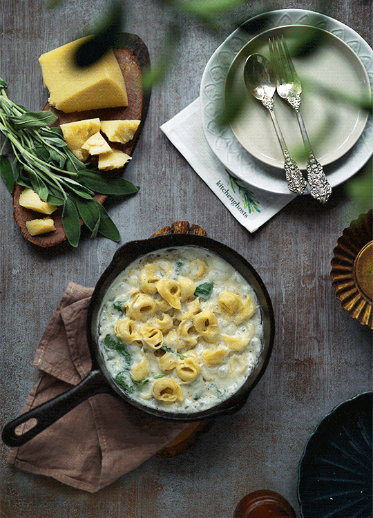 Super Tasty Cinemagraphs by Daria Khoroshavina » Moss and Fog