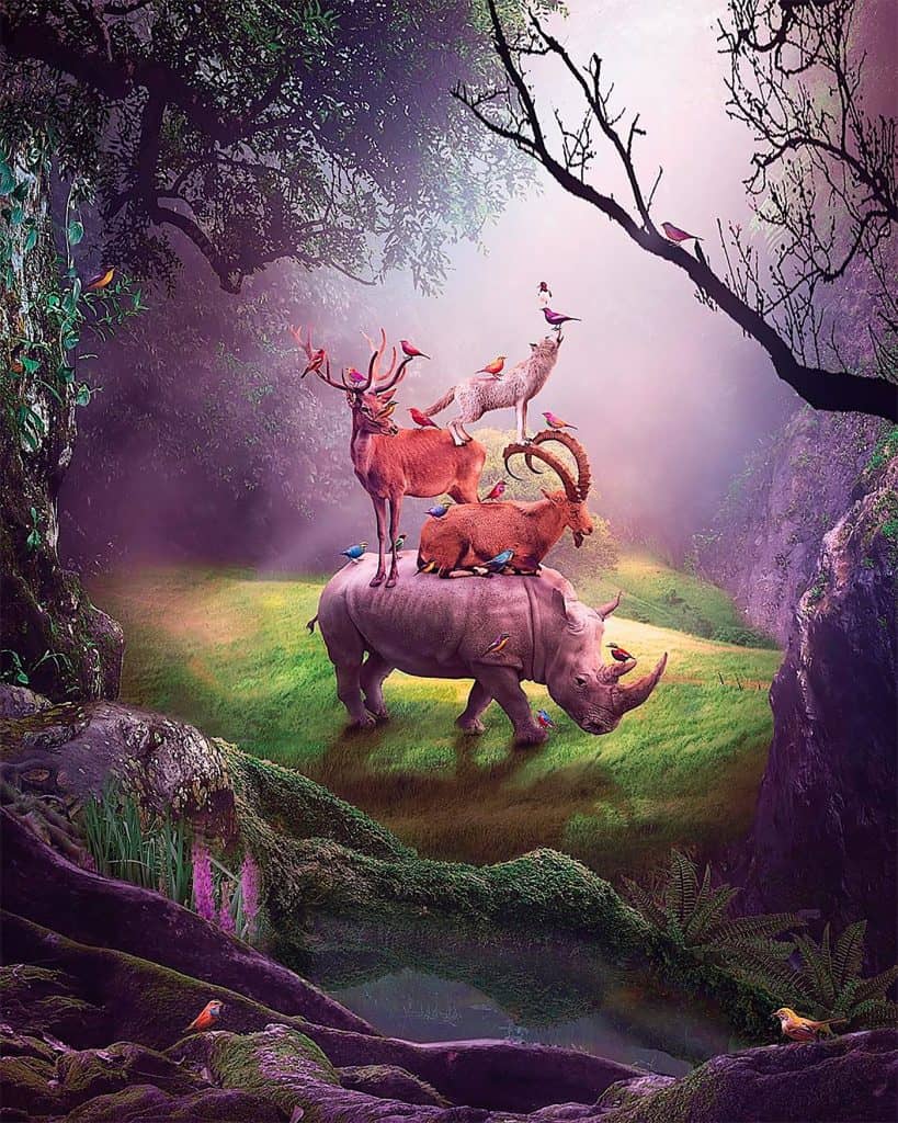Surrealism Featuring Endangered Animals » Moss and Fog