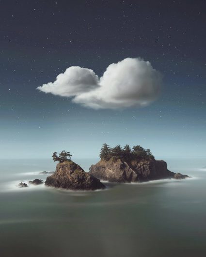 Benjamin Everett's Minimalist Nature Photography | Moss and Fog