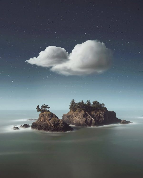 Benjamin Everett’s Minimalist Nature Photography » Moss and Fog