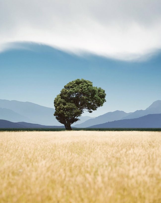 Benjamin Everett's Minimalist Nature Photography | Moss and Fog