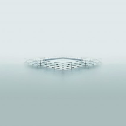 Neil Burnell's Waterscapes | Moss and Fog