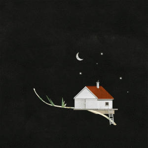 Lovely Nighttime Gifs by Nancy Liang | Moss and Fog