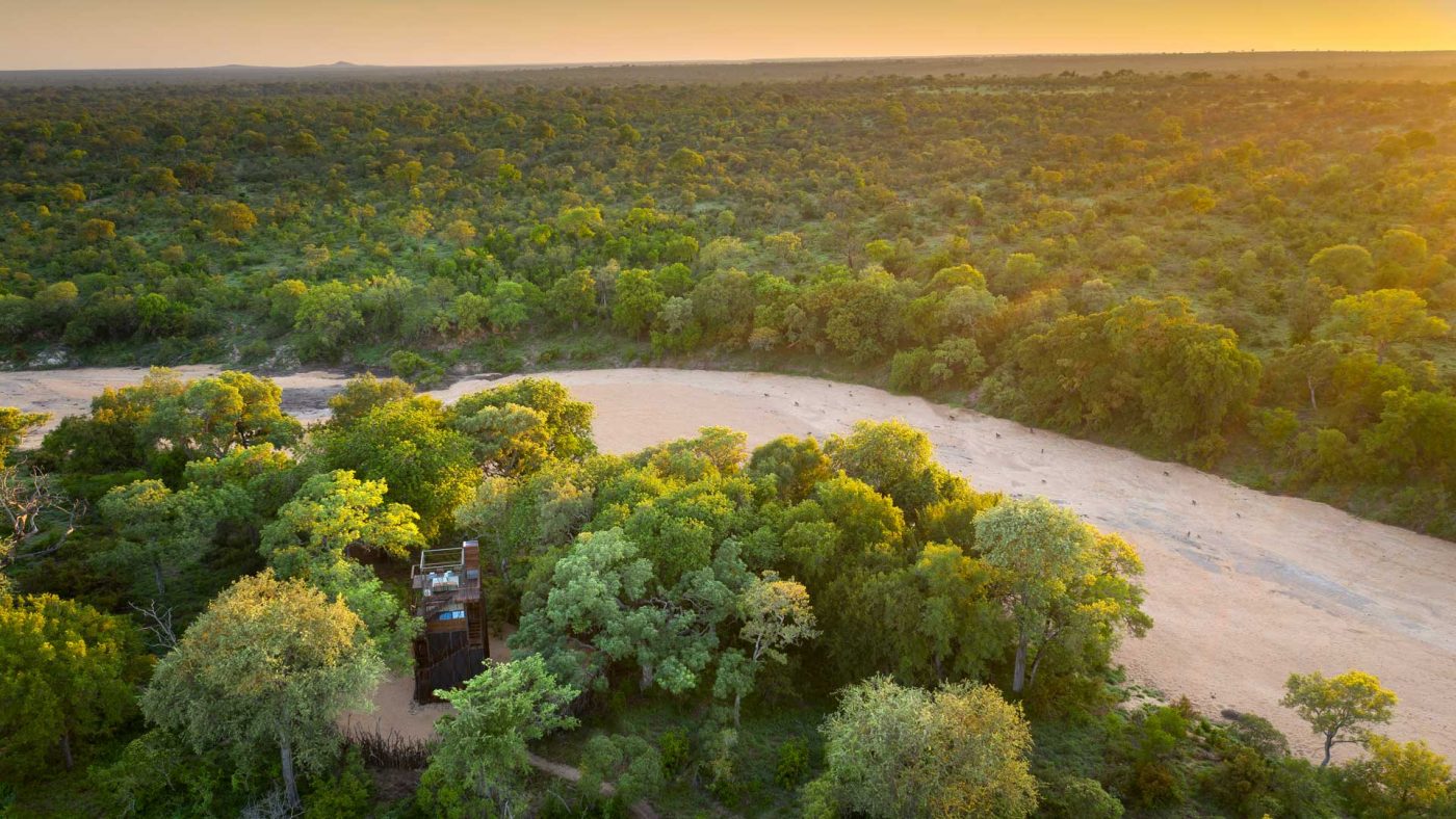 Ngala Treehouse Lets You Sleep in the Middle of an African Game Reserve ...