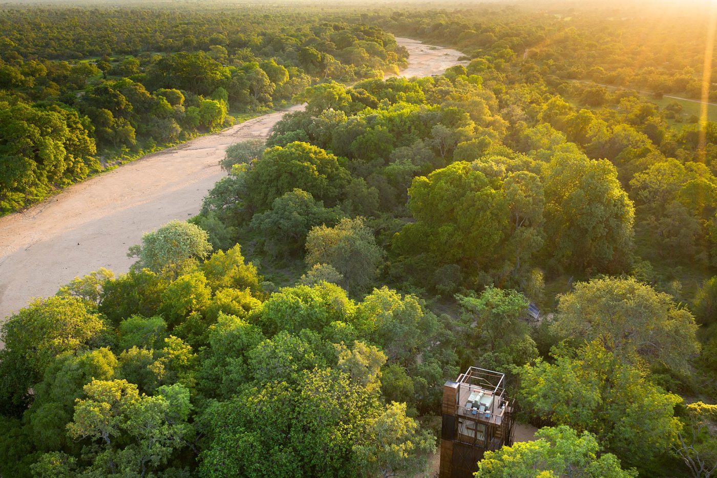 Ngala Treehouse Lets You Sleep in the Middle of an African Game Reserve ...
