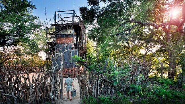 Ngala Treehouse Lets You Sleep in the Middle of an African Game Reserve ...