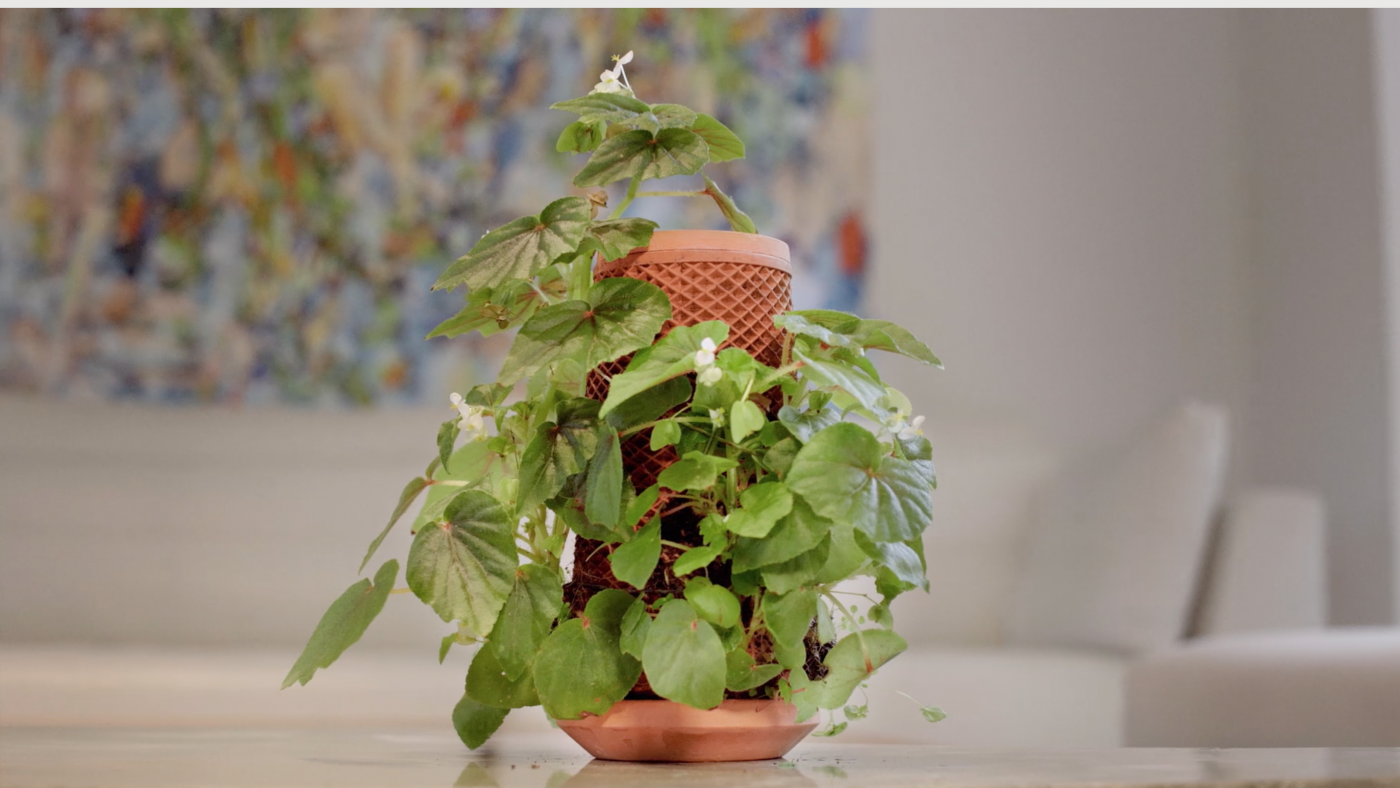 Terraplanter is an Inside Out, Self Watering Planter That Needs No Soil ...
