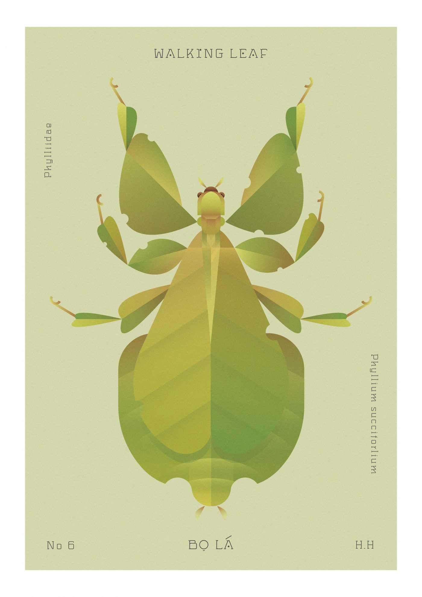 Hoàng Hoàng’s Geometric Insects – Moss and Fog