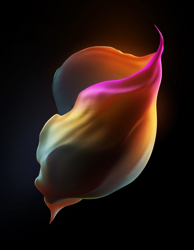 Rik Oostenbroek Brings Us Flowers From Another World - Moss and Fog