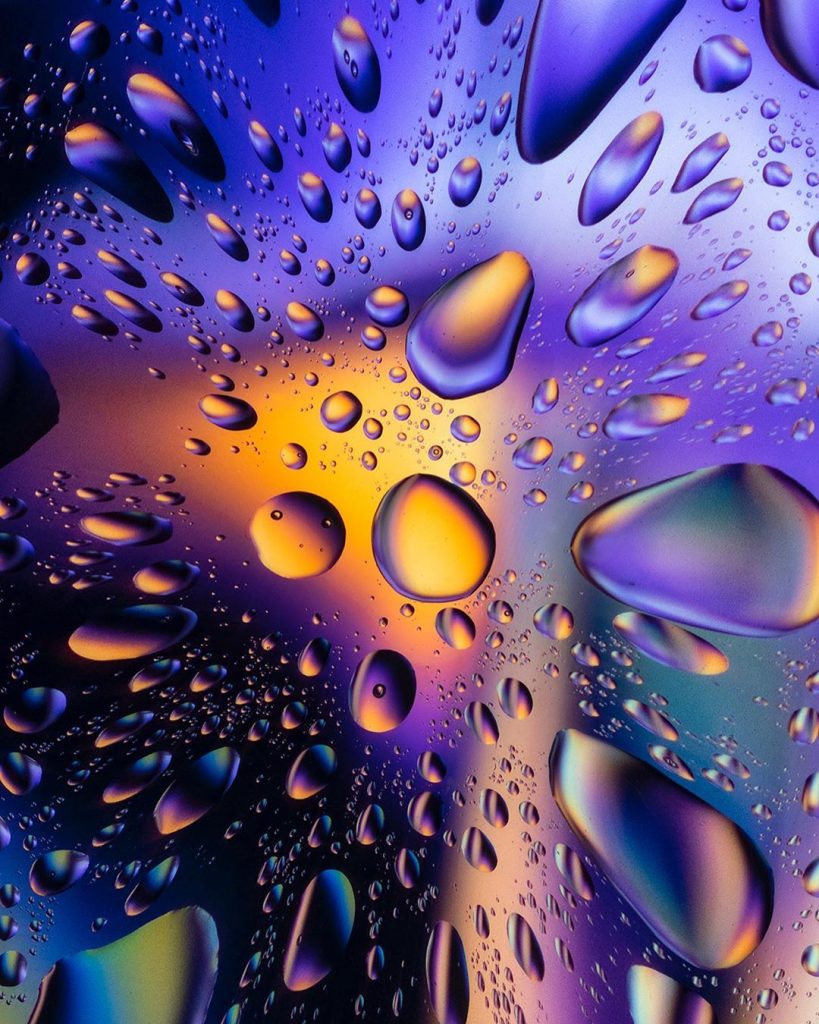 Droplets That Dazzle | Moss and Fog