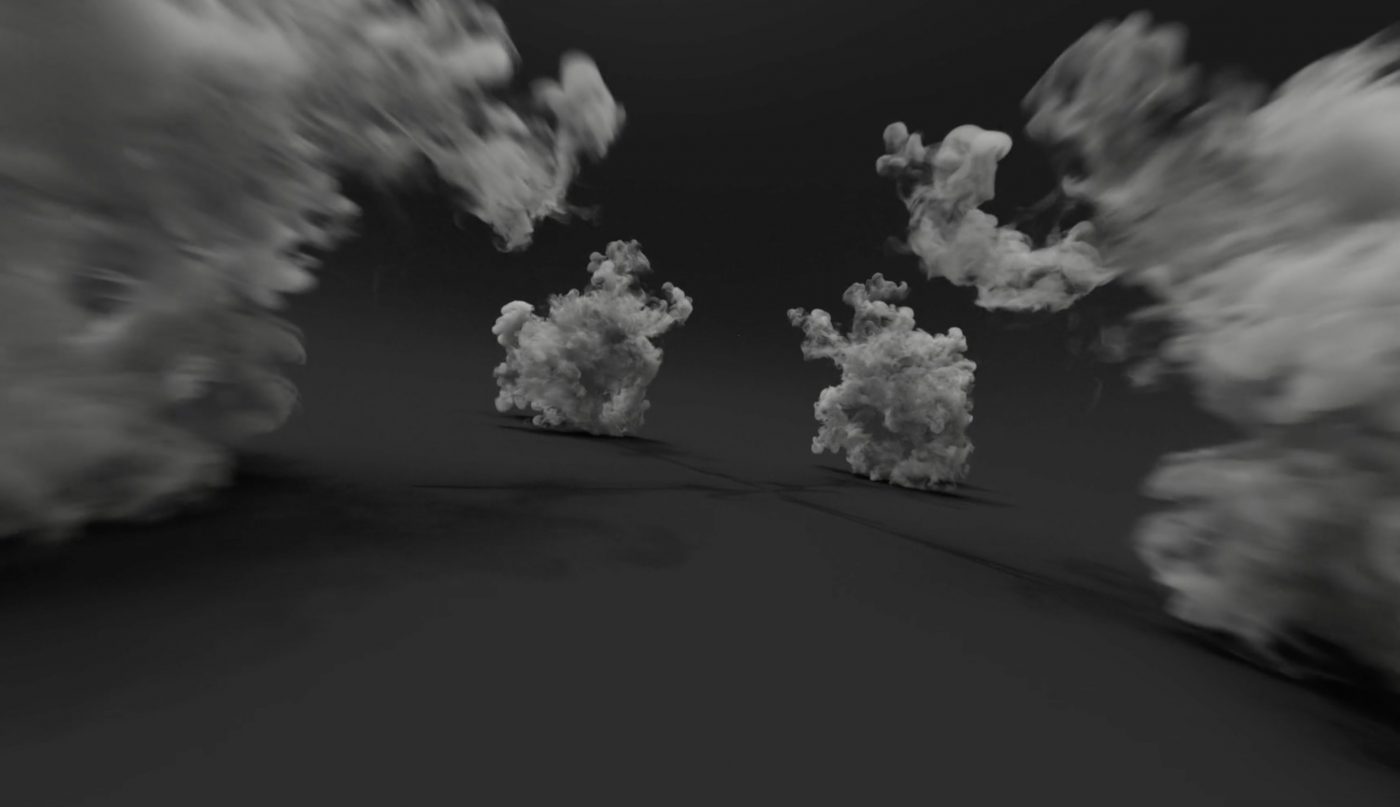 Visual Sounds of the Amazon – Moss and Fog