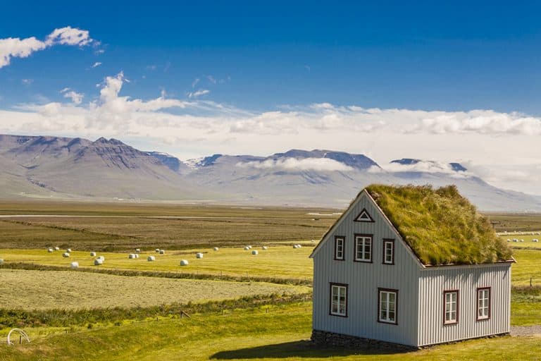 The Magic of Icelandic Turf Houses – Moss and Fog