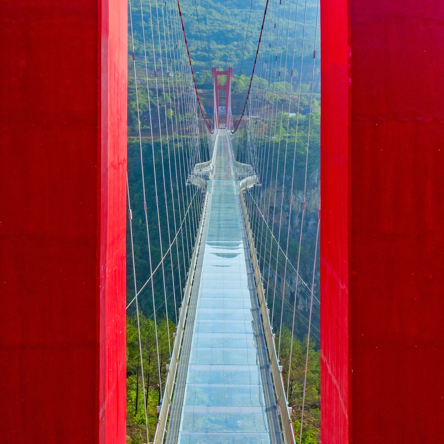 The World's Longest Glass-Bottomed Bridge Just Opened in China | Moss ...