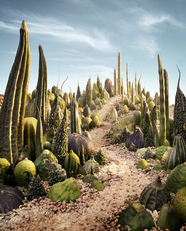 Incredible Foodscapes by Carl Warner | Moss and Fog