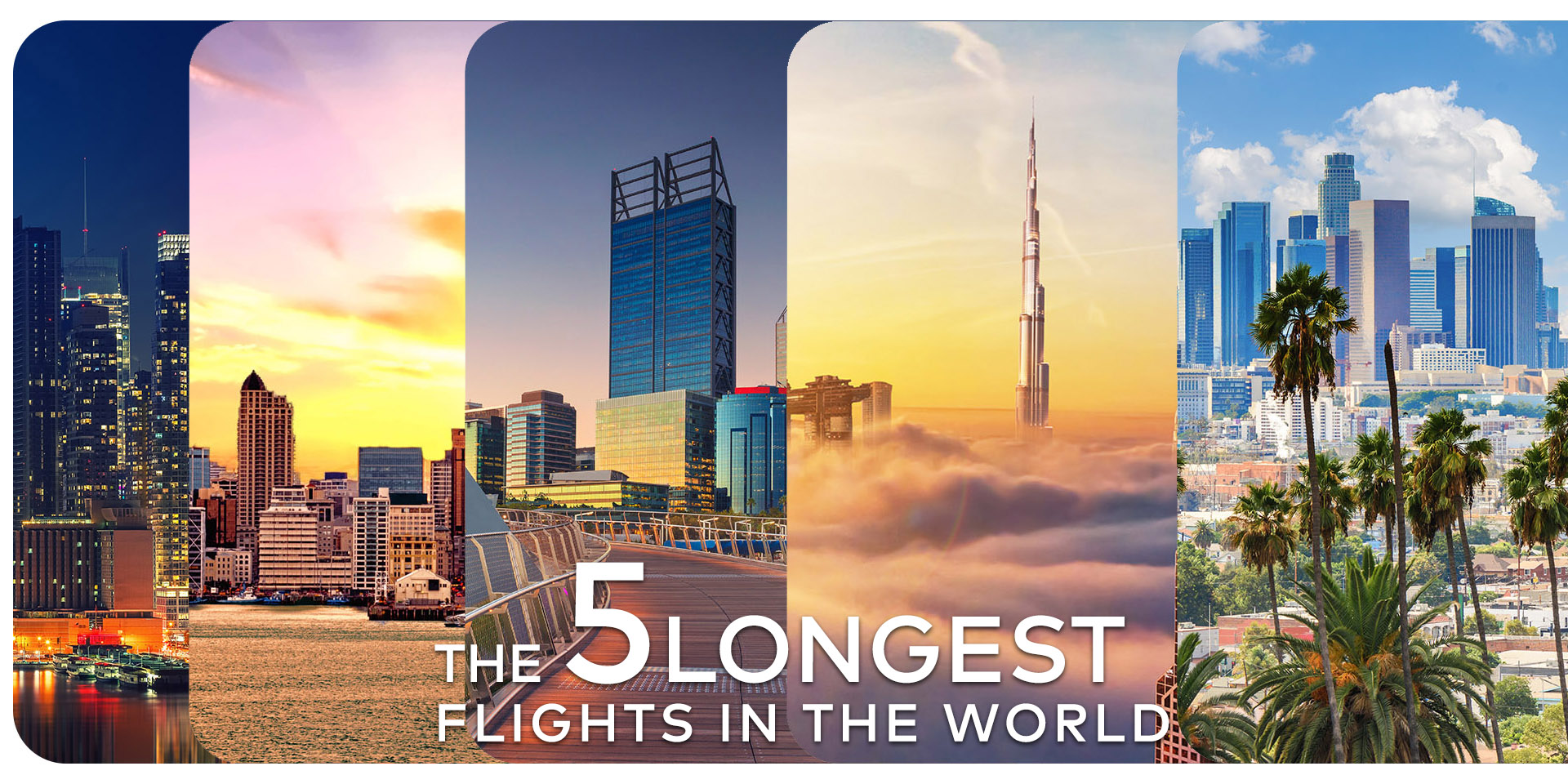 The 5 Longest Flights in the World | Moss and Fog