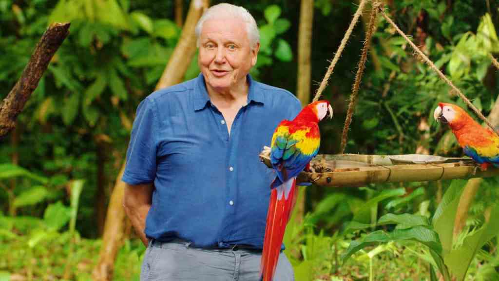 David Attenborough’s Life in Color Debuts on This Earth Day - Moss and Fog