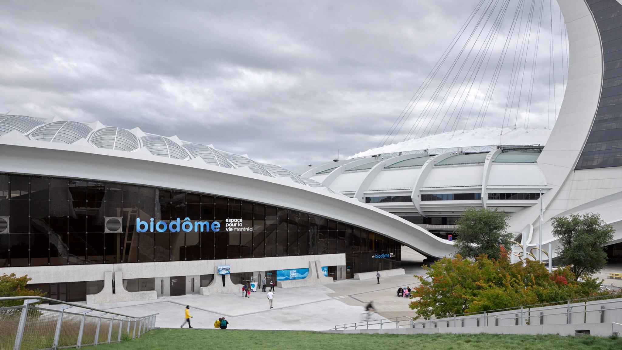 Montreal’s Biodôme Shows How to Properly Retrofit Former Olympic Venues ...