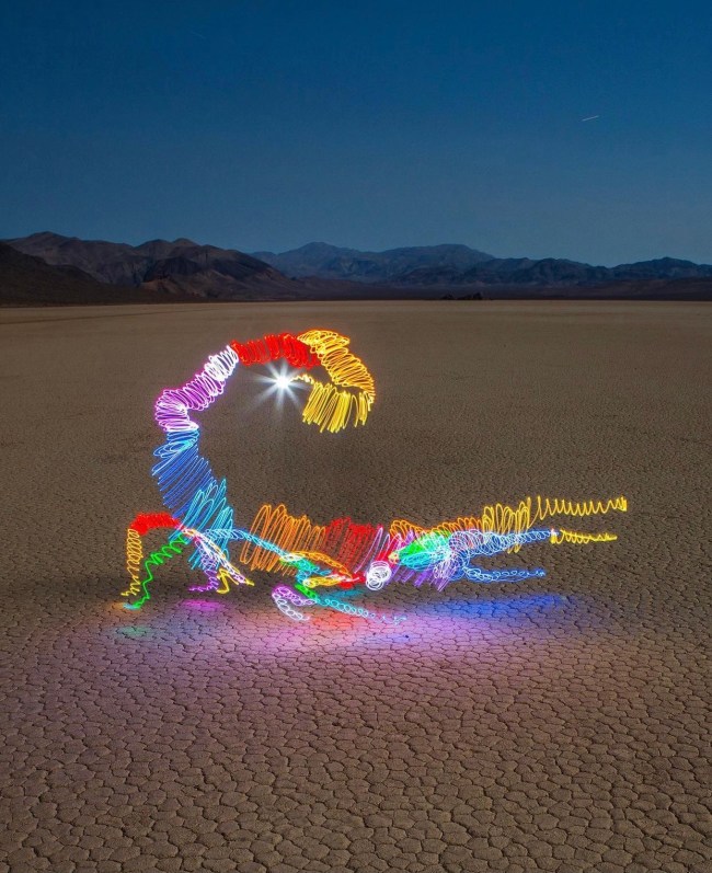 Enchanting Animal Light Painting » Moss and Fog