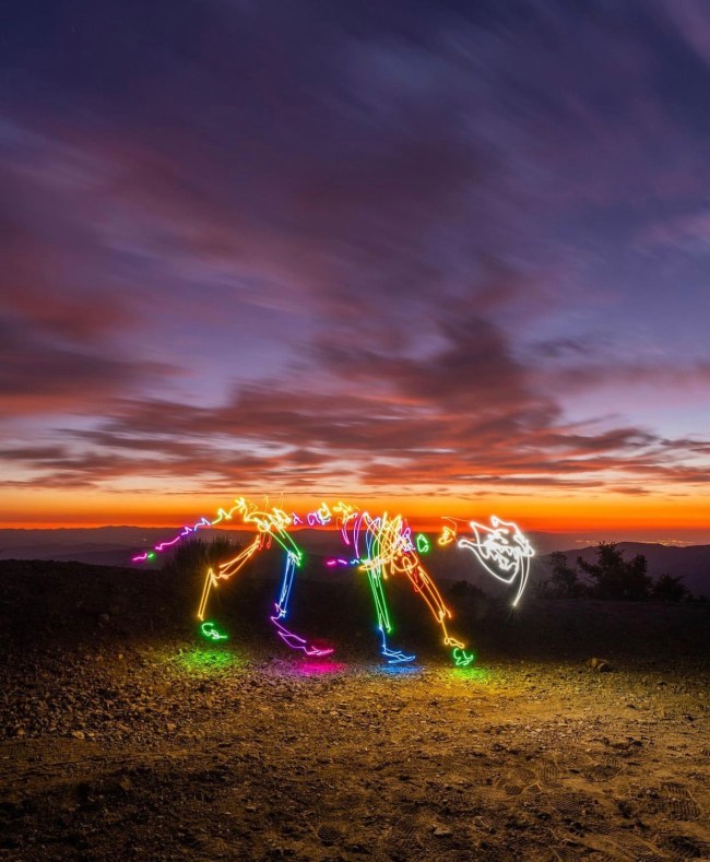 Enchanting Animal Light Painting » Moss and Fog