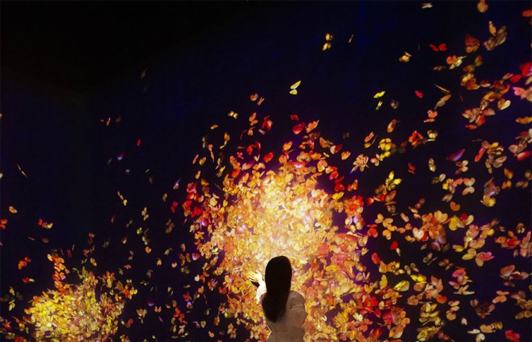 TeamLab’s Digital Autumn Leaves – Moss and Fog