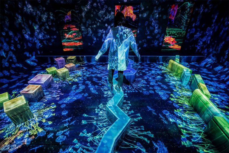 TeamLab’s Digital Autumn Leaves – Moss and Fog