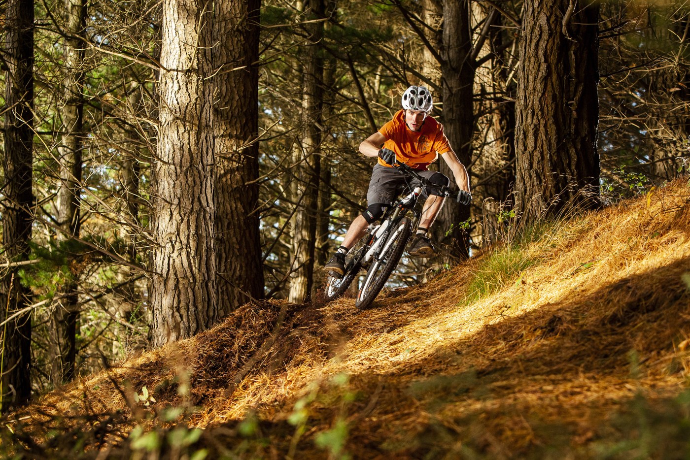 10 Places to Visit for Epic Mountain Bike Adventures – Moss and Fog