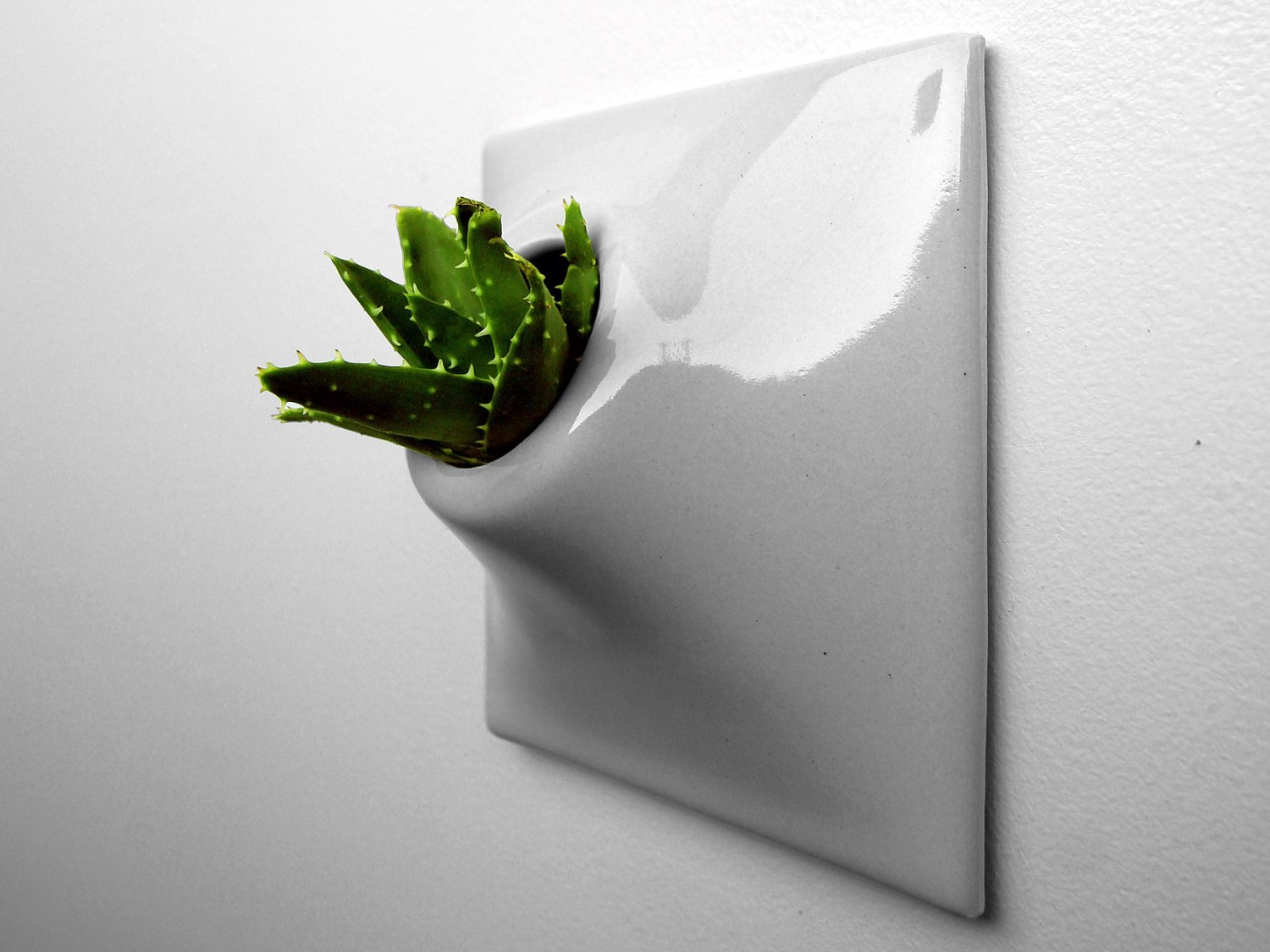 Arrangeable Wall Planters by David Rozek | Moss and Fog