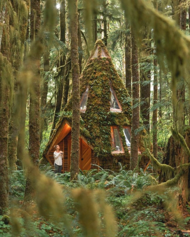 Moss Covered Diamond Cabin Looks Straight Out of a Fairytale | Moss and Fog