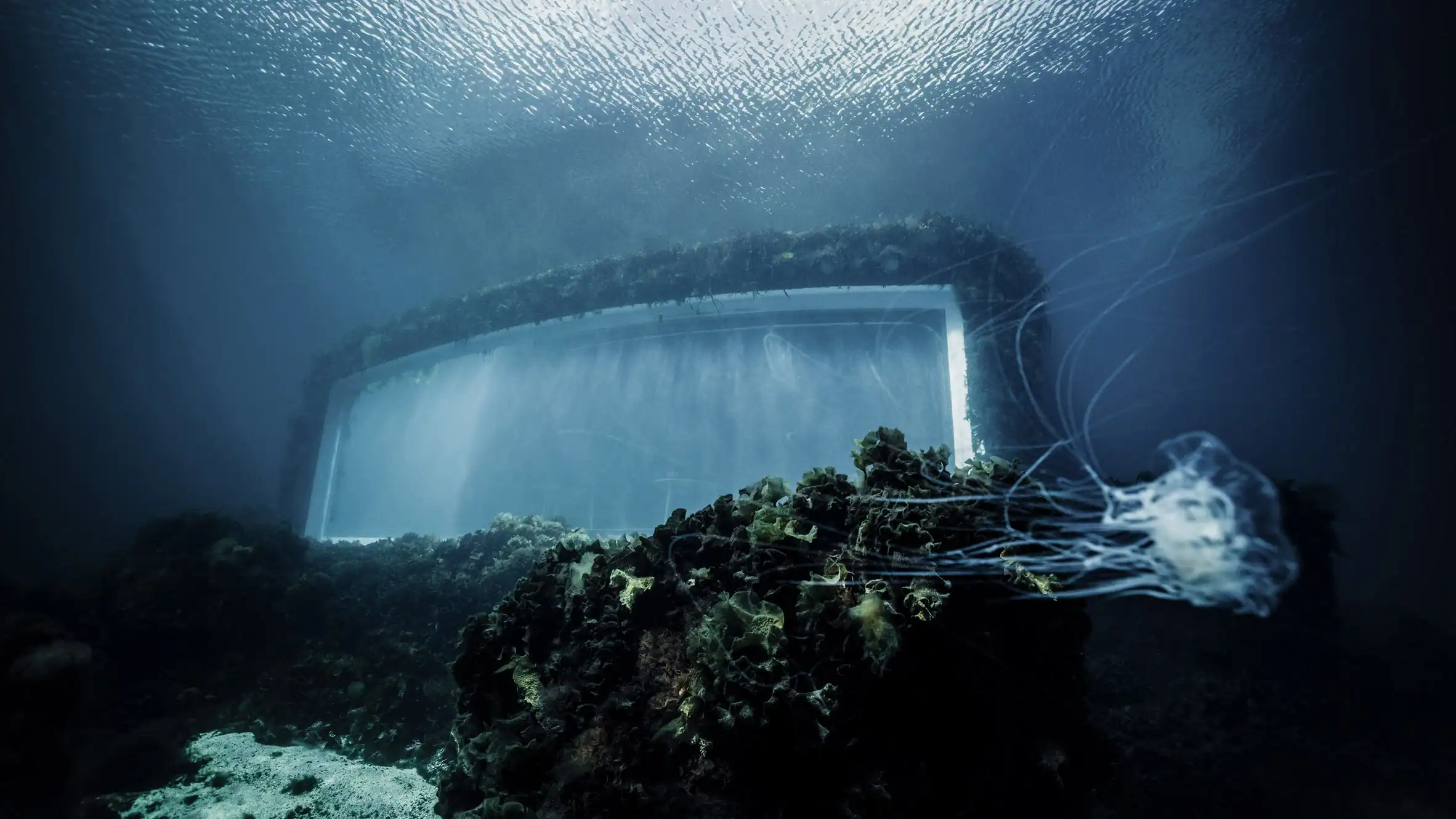 Under is an Elegant, Underwater Restaurant in Norway » Moss and Fog