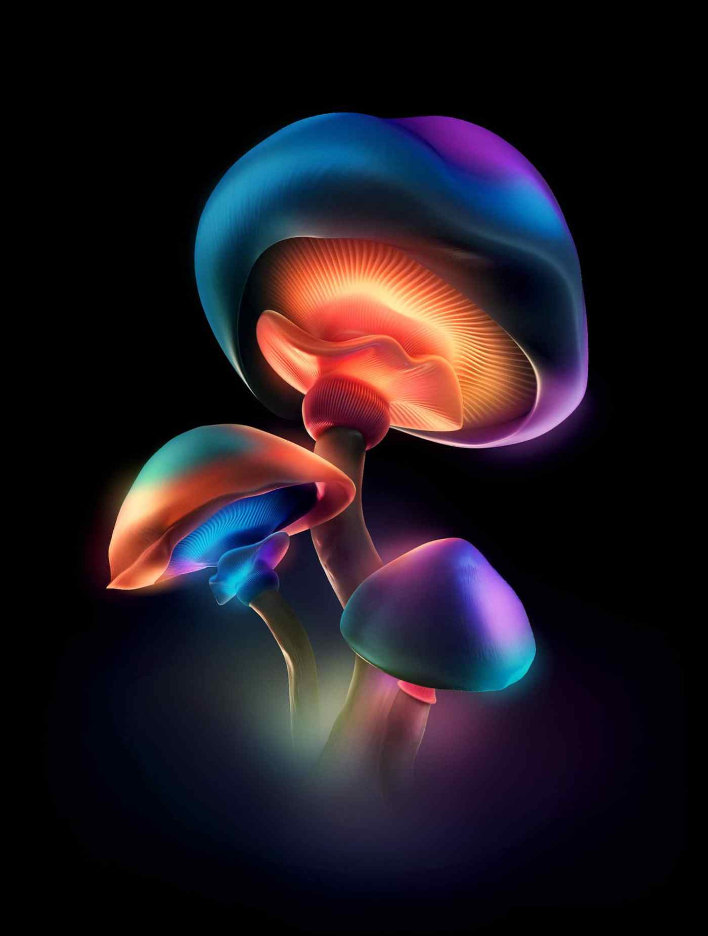 Take a Visit to Another World With These Alien Flowers by Rik ...