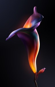 Take a Visit to Another World With These Alien Flowers by Rik ...